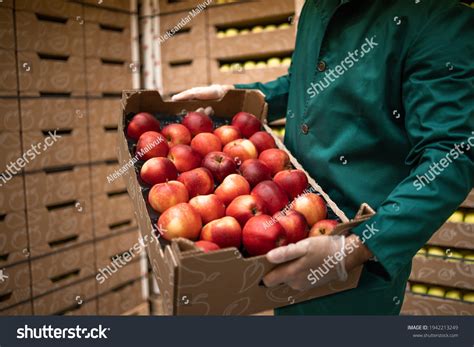 7885 사과 창고 이미지 스톡 사진 및 벡터 Shutterstock