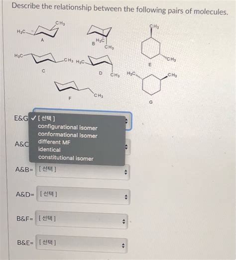 Solved Describe The Relationship Between The Following Pairs