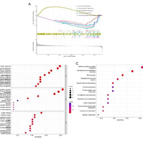 Gseago And Keeg A Gsea Enrichment Analysis Demonstrated That Lysine