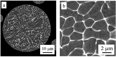 Solidification Microstructure Of Atomized Powder Particles Sem A Download Scientific