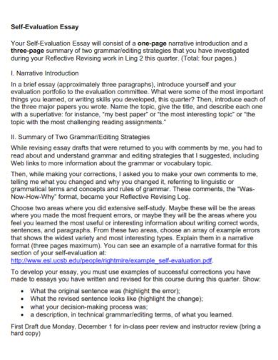 7 Self Evaluation Essay Examples To Download