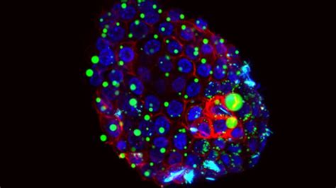 Max Planck Institute For Molecular Genetics Mpi Mg On Linkedin In A