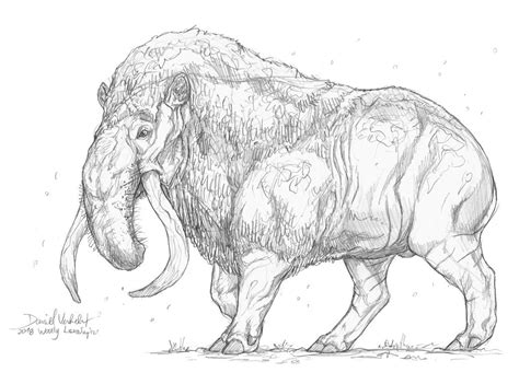 Speculative Evolution Photo