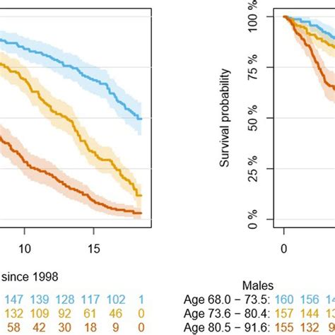 Kaplan Meier Survival Curves Stratified By Sex And Age Tertiles