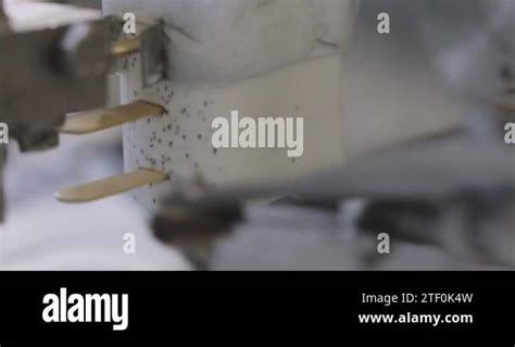 Apparatus For Sorting Ice Cream Ice Cream Dosing Machine On A Conveyor Line Automated Conveyor