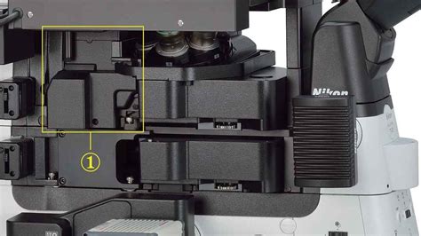 Eclipse Ti2 Series Inverted Microscopes Nikon Instruments Products