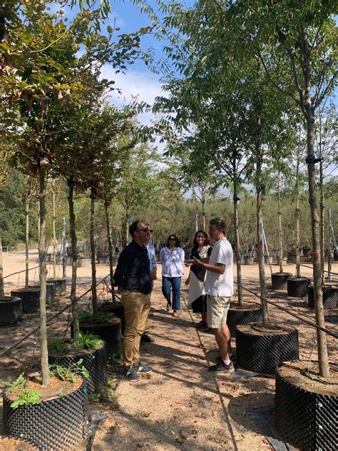 daniel solla artiach on linkedin today we had visit of people from west 8 to our headquarters