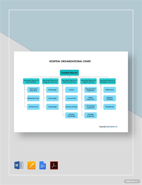 Hospital Organizational Chart Template Printable Hospital Chart