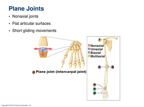 Chapter 8 Joints Part B Shilla Chakrabarty Phd Ppt Download