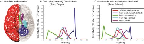 The Ability To Infer Target Intensity Information From The Registered Download Scientific