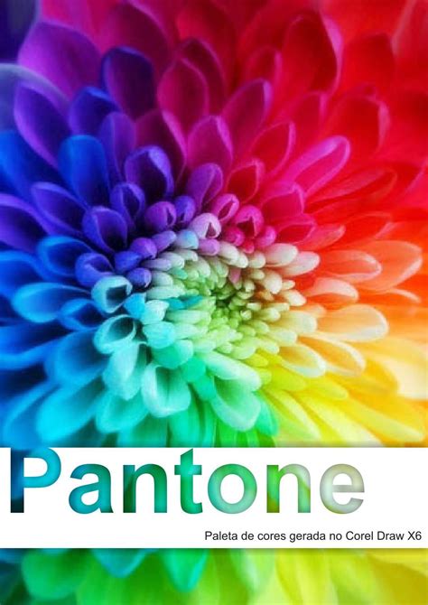 Recommendation Coreldraw Pantone Colors Color From Image