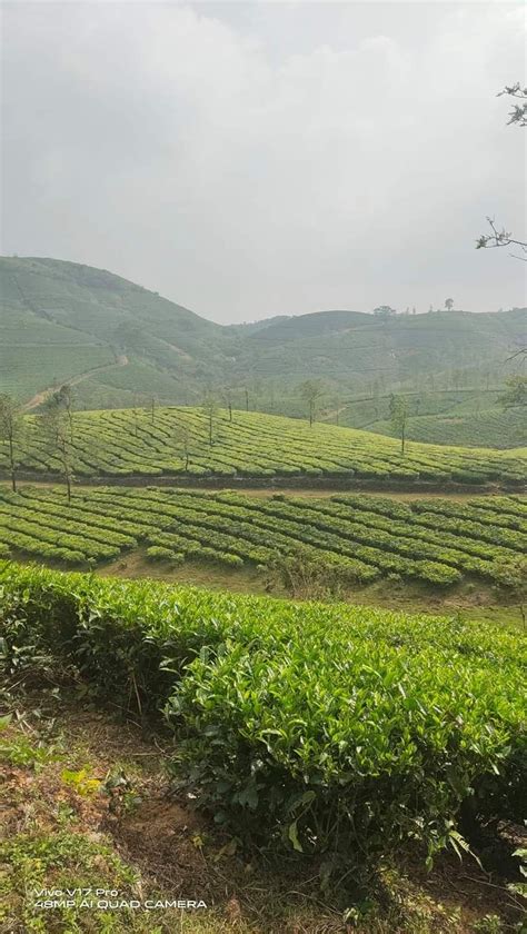 P Aldrin P Aldrin Posted On Linkedin