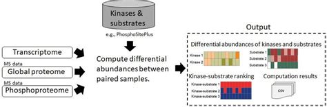 Workflow Of Omic Sig Download Scientific Diagram