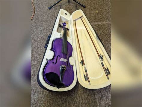 Cecilio Violin With Case L W Benton Company Inc