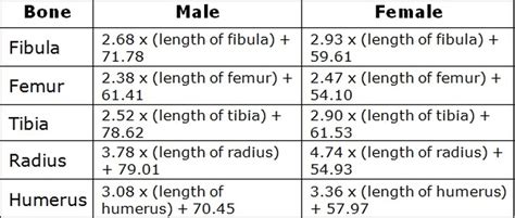 Forensic Science Chapter 3 Worksheet Answers