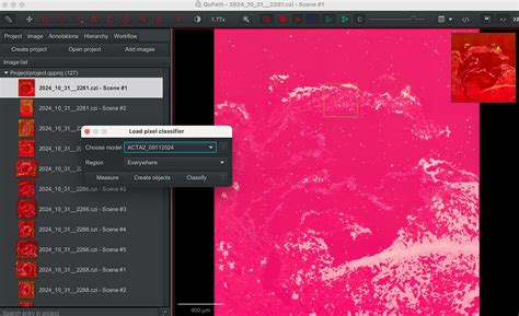 Unable To Load Pixel Classifier Usage And Issues Imagesc Forum