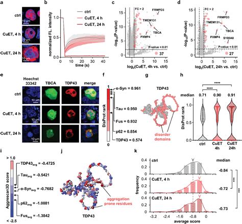 1000 Fold Ultra‐photosensitized Fluorescent Protein Mimics Toward Photocatalytic Proximity