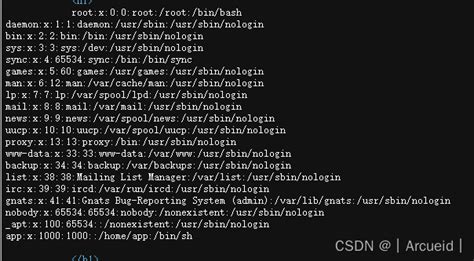 关于ctf中flask算pin总结ctfflask Csdn博客