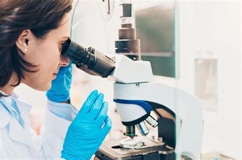 Pgt Testing For Surrogacy Improve Your Odds Surrogacy Place Pgt Testing For Surrogacy Improve Your Odds Surrogacy Place