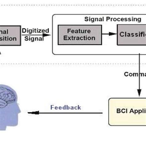 Current Bci Systems Processing And Analysis Of Eeg Signals 13