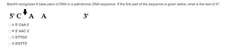 Answered Bamhi Recognizes 6 Base Pairs Of Dna In… Bartleby