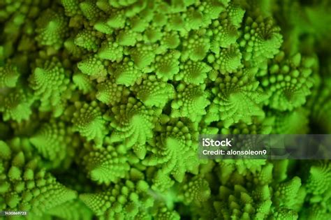 로마네스코 브로콜리는 자연과 프랙탈 모양에서 로그 나선형을 보여줍니다 0명에 대한 스톡 사진 및 기타 이미지 0명 3차원 형태 Number One Party Istock