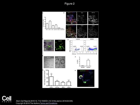 Volume 10 Issue 3 Pages March 2018 Ppt Download