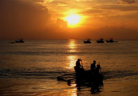 Ressources Halieutiques Définition Éolie Énergie