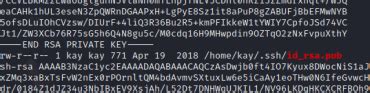 Basic Pentesting On Tryhackme The Dutch Hacker