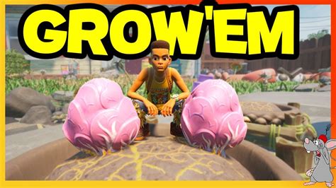 Grounded Grow Ya Own Muscle Sprouts Easy Beefy Smothies Super Duper