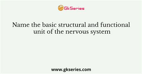 Name The Basic Structural And Functional Unit Of The Nervous System