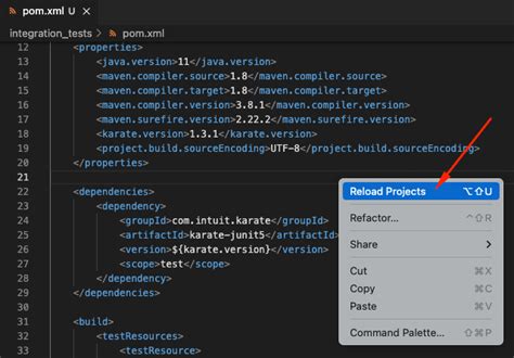 how to set up a simple test project using karate framework