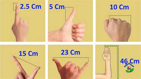 Measure It Up 4 Clever Ways To Size Objects Without A Meter