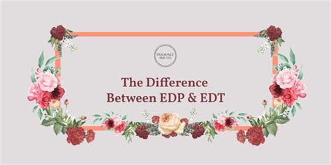 The Difference Between EDP EDT Fragrance And Co