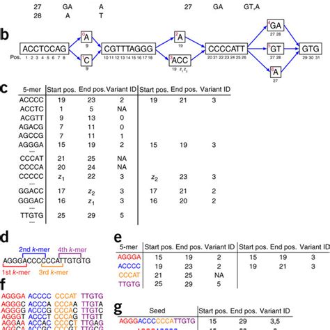Graphtypers Sequence Alignment Algorithm A An Example Reference