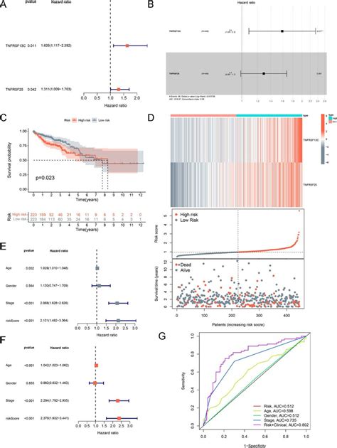 Development Of Prognostic Gene Signatures Based On 54 Fabp4 Associated Download Scientific