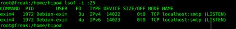 How To Check Version Of Most Used Mail Servers Postfix Qmail Exim