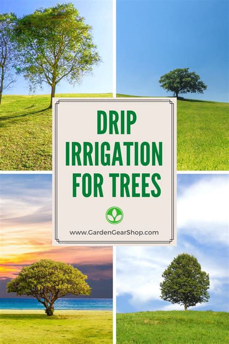 Drip Irrigation For Trees Irrigation Tree Irrigation Irrigation Hose
