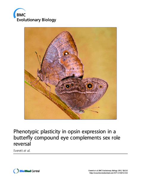Pdf Phenotypic Plasticity In Opsin Expression In A Butterfly Compound