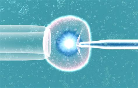 Laser Assisted Hatching Lah Androcare Fertility Centre