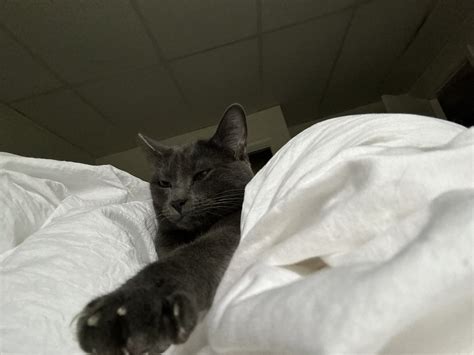 Sylviaplathsonlyfans On Twitter Hello Its Us