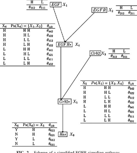 Figure 2 From Inference In Signal Transduction Pathways Using Em