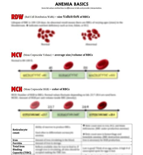 Amazing Anemia Basics And Diagnosis Quick Reference Etsy