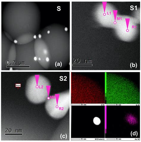 A High Resolution Scanning Transmission Electron Microscope Hr Stem