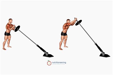 11 Barbell Chest Exercises With Or Without Bench Nutritioneering