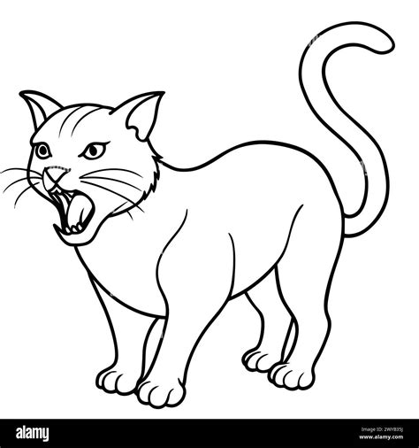 Cat Line Art Design Stock Vector Image And Art Alamy
