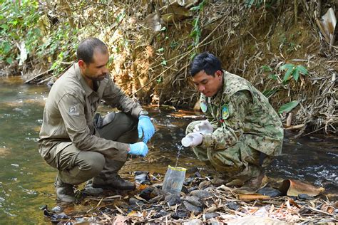 Extensive Practical Guide To Dna Based Biodiversity Assessment Methods