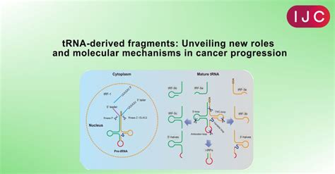 international journal of cancer ijc on linkedin now online trna