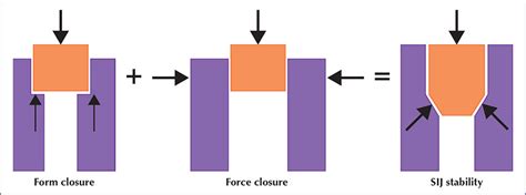 Form And Force Closure In The Bony Pelvis Human Kinetics Canada