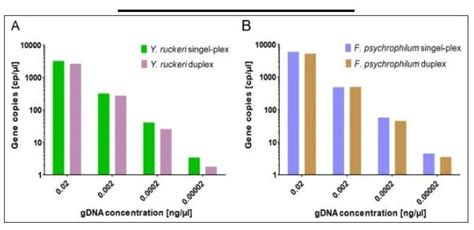 Naica® Droplet Chip Digital Pcr System For Absolute Quantification Of